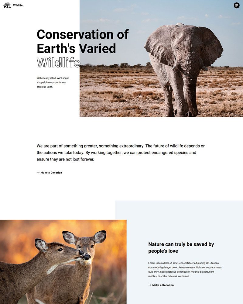 Buy Wildlife Safari Elementor Template - Spexo Theme